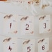 Wizard Wedding Table Numbers, Printable Table Numbers, Magic School ...