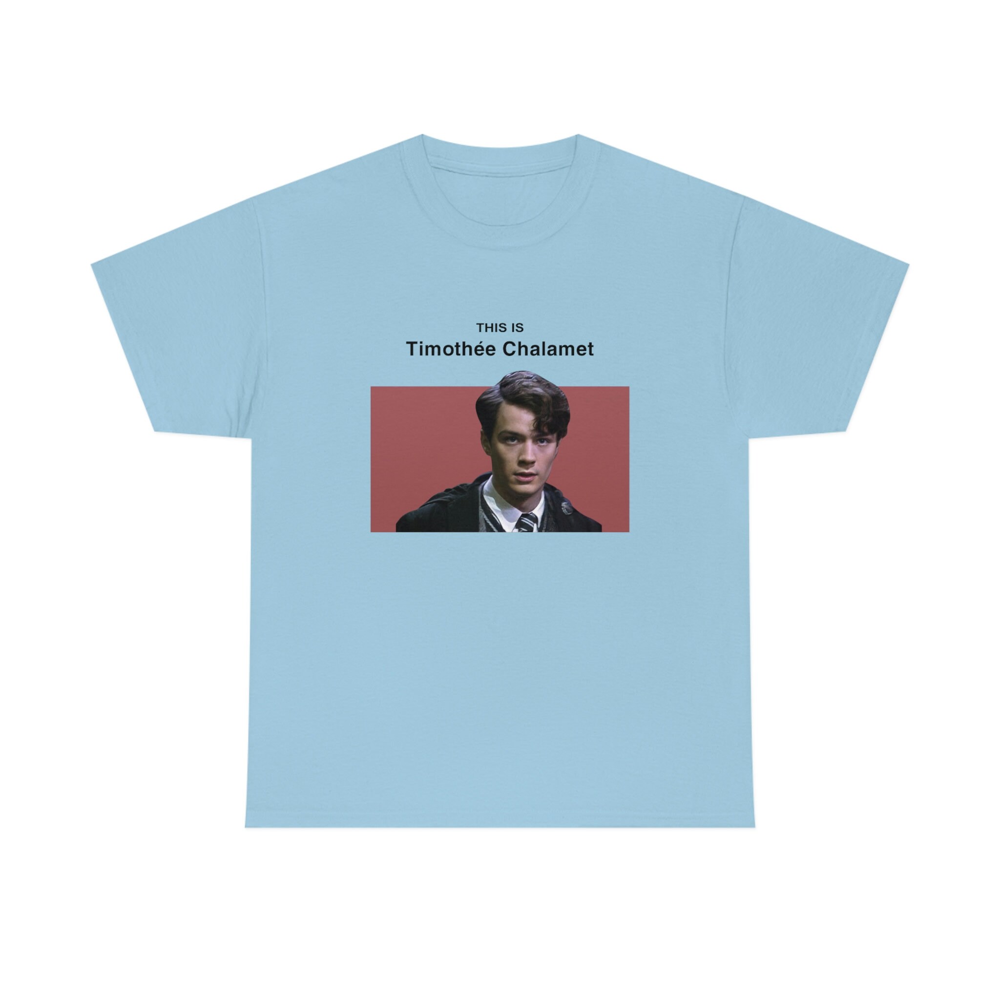 This is Timothée Chalamet Tom Riddle T-shirt - Etsy