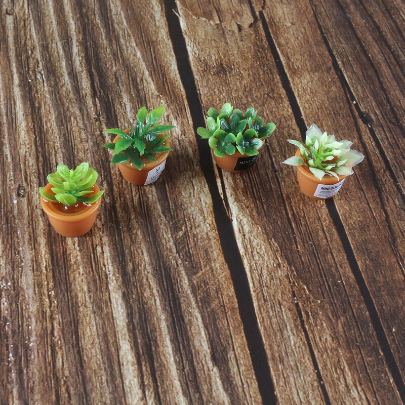 Miniature Plants - Etsy
