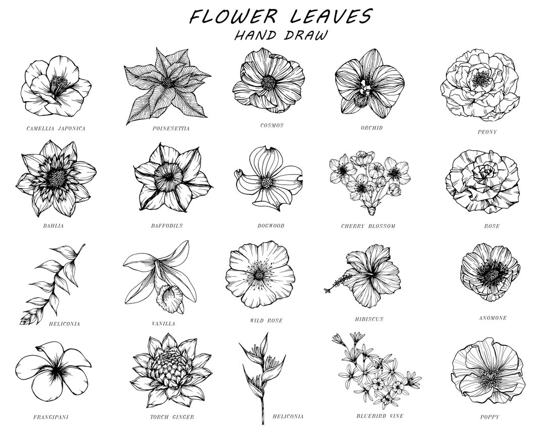 Flower Bouquet Svg , Flower Svg, Bouquet Svg, Floral Svg, Rose Flower ...