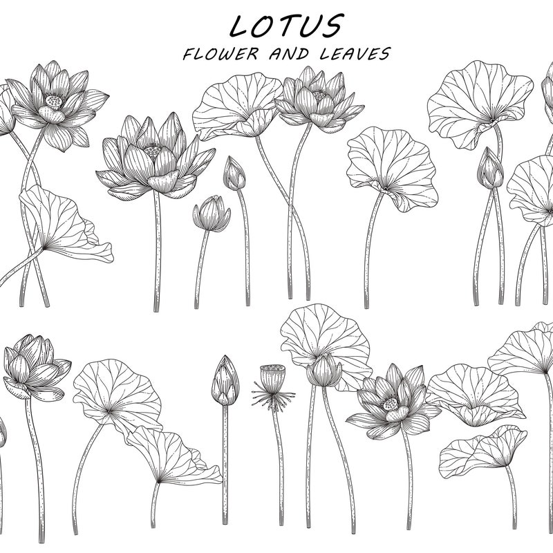 Lotus Flower Tattoo Drawing - Etsy