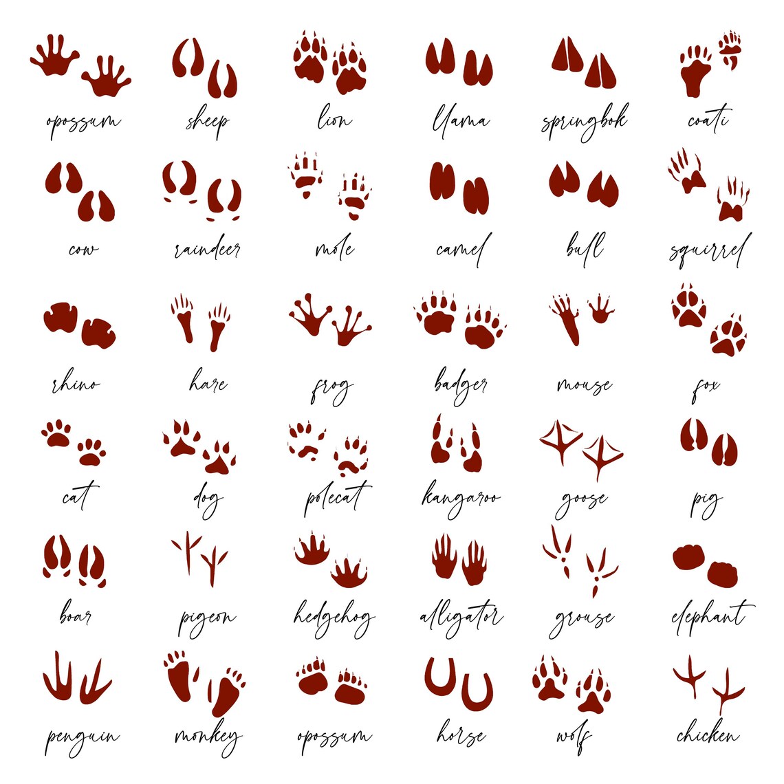 36 Animal Tracks Machine Embroidery Design, Animal Footprints Machine ...