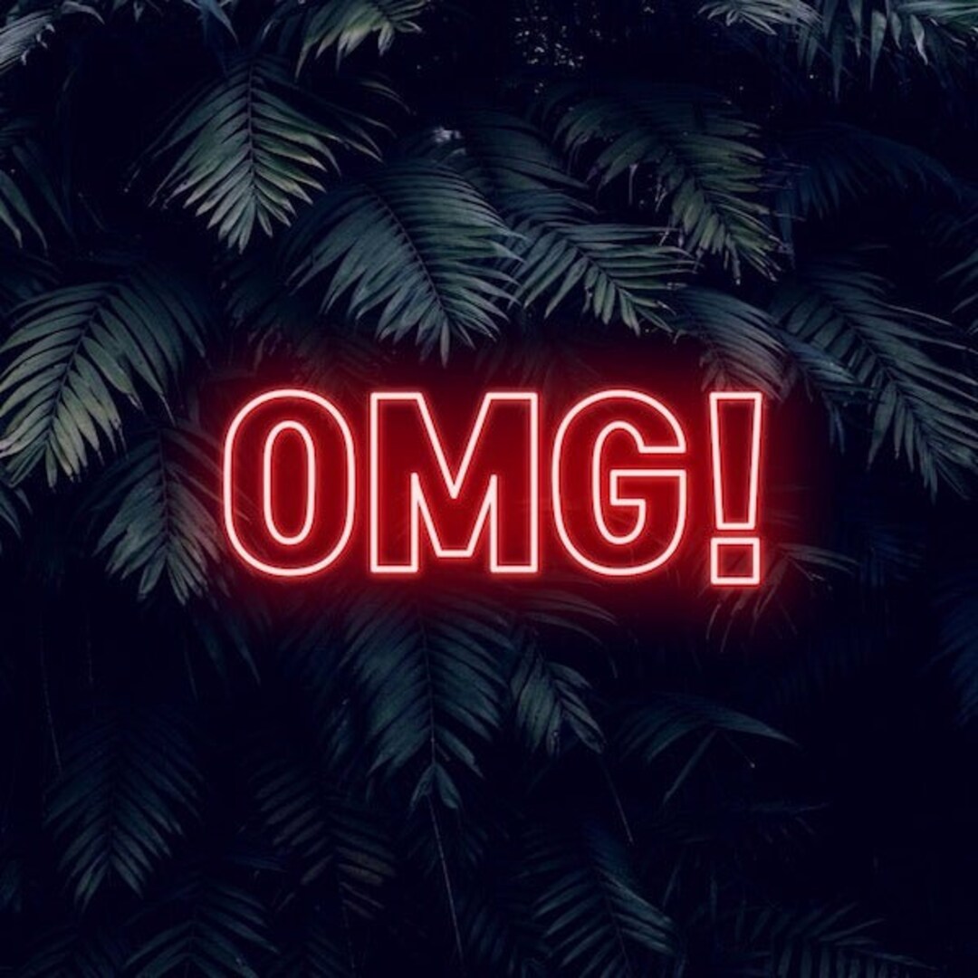 OMG Outline LED Neon Sign - Etsy