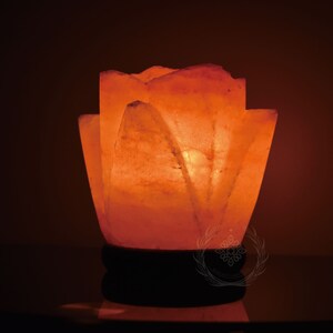 Himalayan Pink Salt Lamp Natural Hand Crafted Flower Lamp Crystal Rock ...