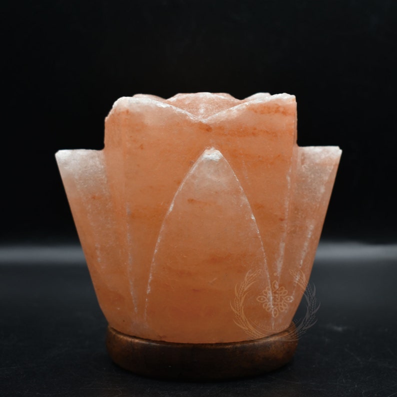 Himalayan Pink Salt Lamp Natural Hand Crafted Flower Lamp Crystal Rock ...