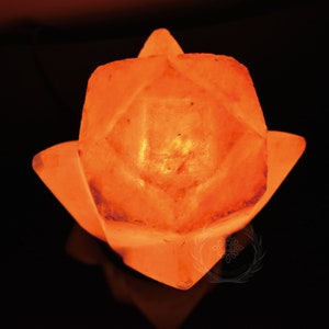 Himalayan Pink Salt Lamp Natural Hand Crafted Flower Lamp Crystal Rock ...