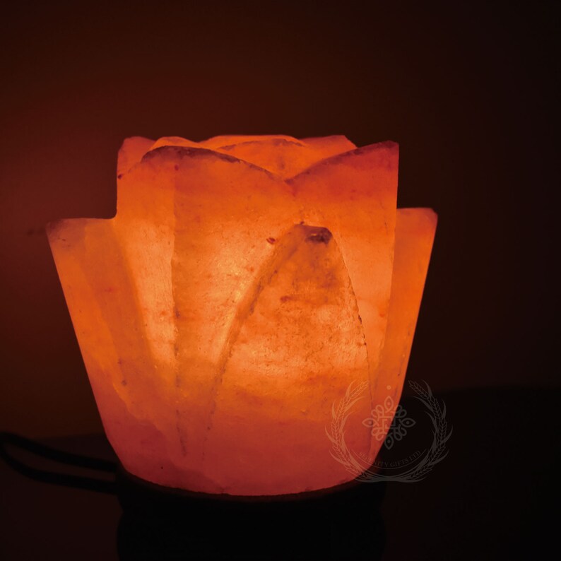 Himalayan Pink Salt Lamp Natural Hand Crafted Flower Lamp Crystal Rock ...