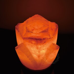 Himalayan Pink Salt Lamp Natural Hand Crafted Flower Lamp Crystal Rock ...