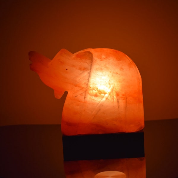 Himalayan Salt Decor - Etsy