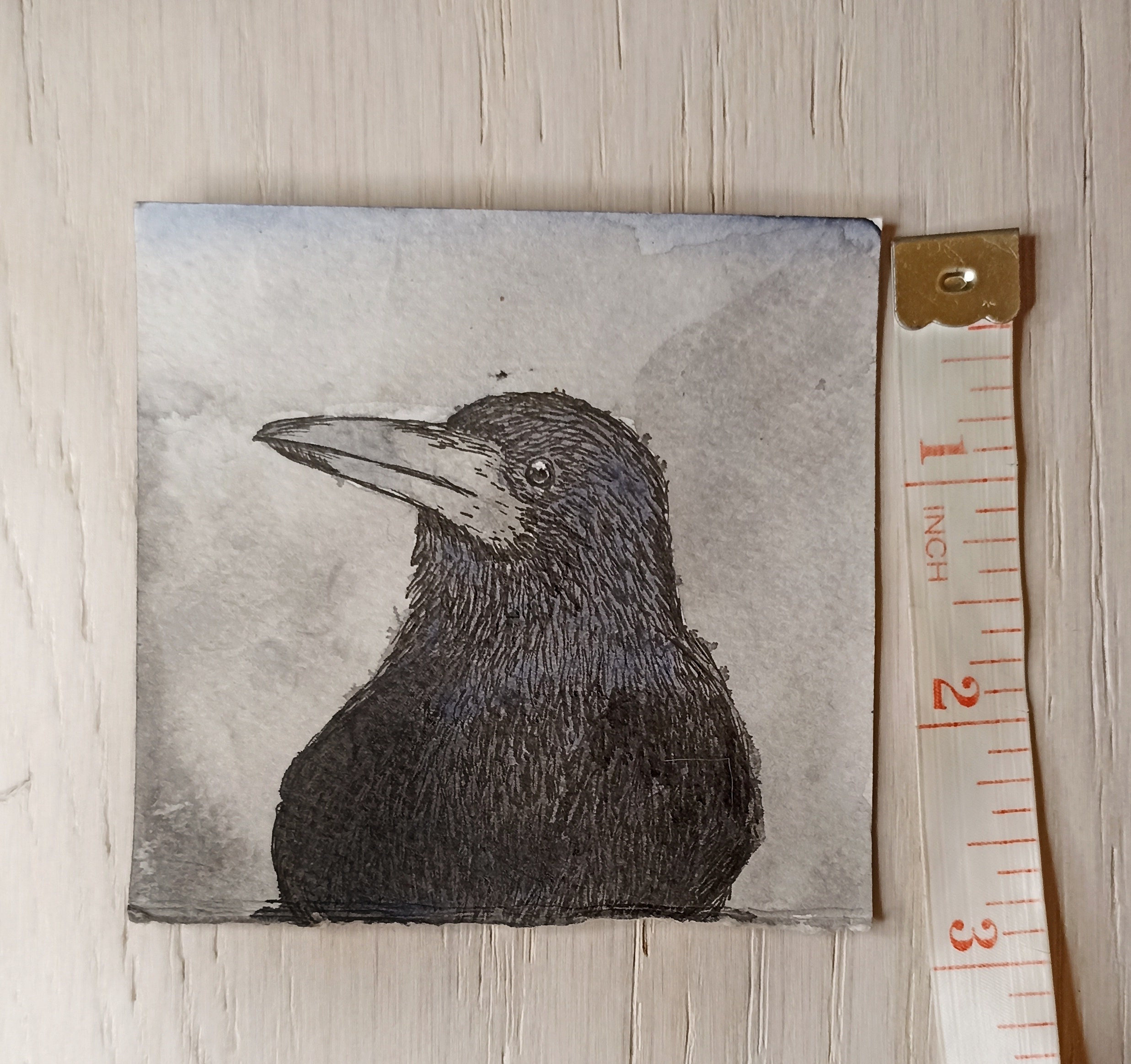 Crow Pen and Ink Drawing, Original Art, Halloween Art - Etsy