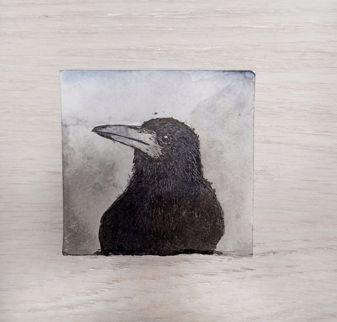 Crow Pen and Ink Drawing, Original Art, Halloween Art - Etsy