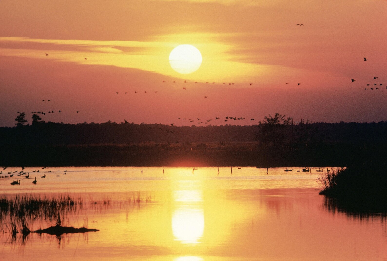 Beautiful Sunset Canva - Etsy