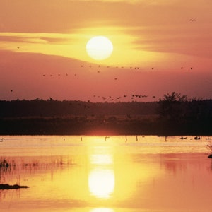 Beautiful Sunset Canva - Etsy