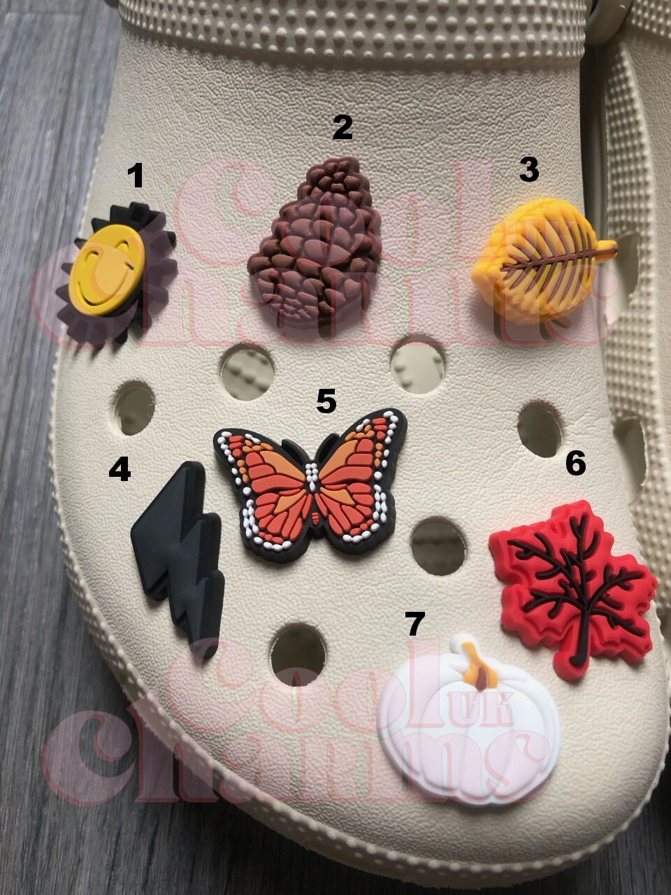 Croc Charm Pin Badge Charms Flower Nature Autumn Daisy - Etsy