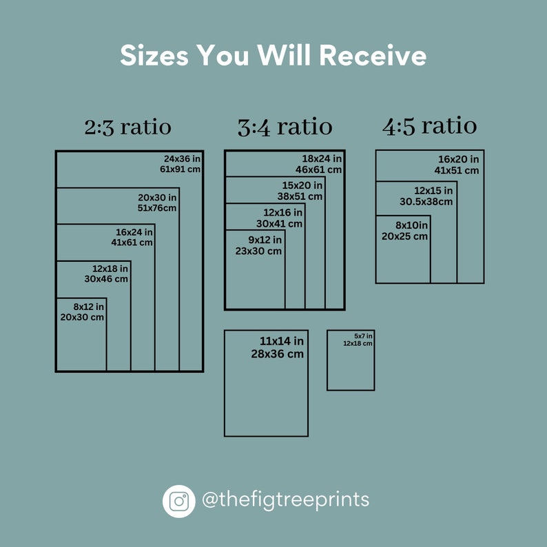 Honey Bee Bible Verse Poster Nature Honeybee Floral Wall Art Bumble Bee ...