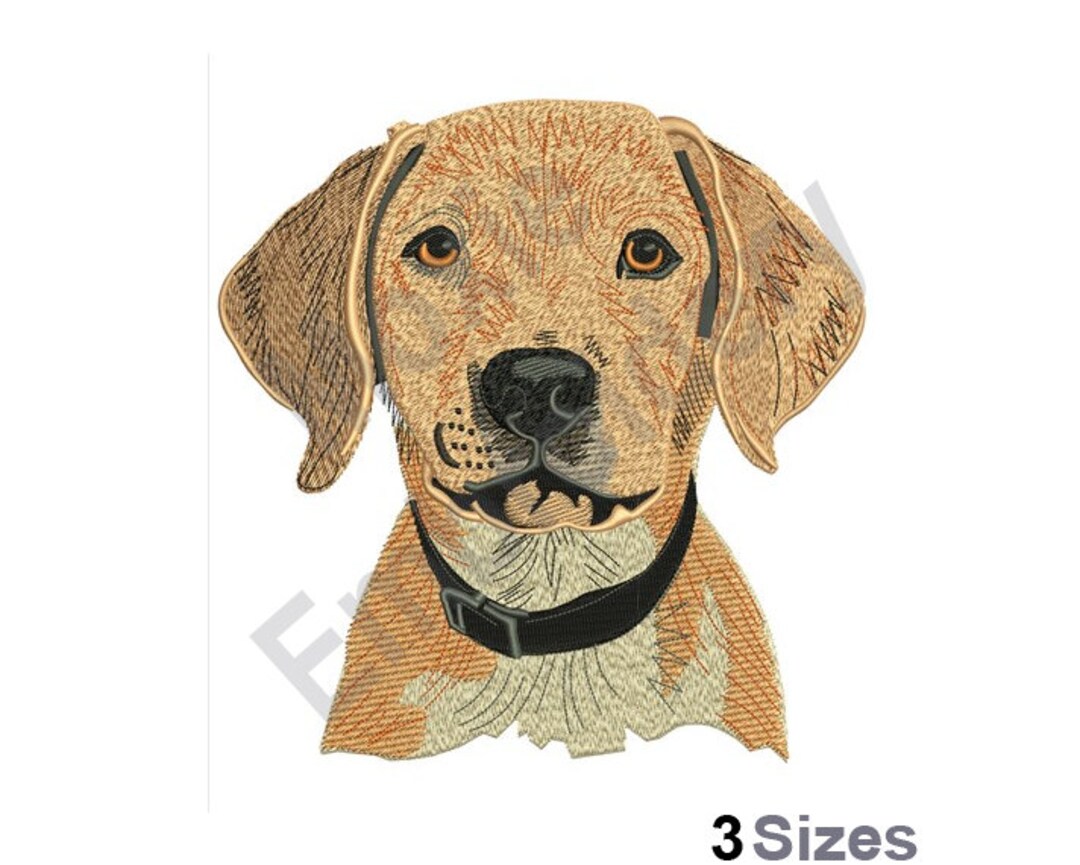 Labrador Retriever - Machine Embroidery Design - 3 Sizes, Labrador ...