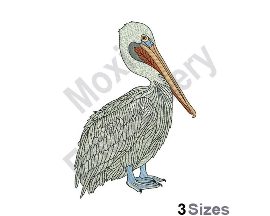 Spot-billed Pelican - Machine Embroidery Design - 3 Sizes, Gray Pelican ...