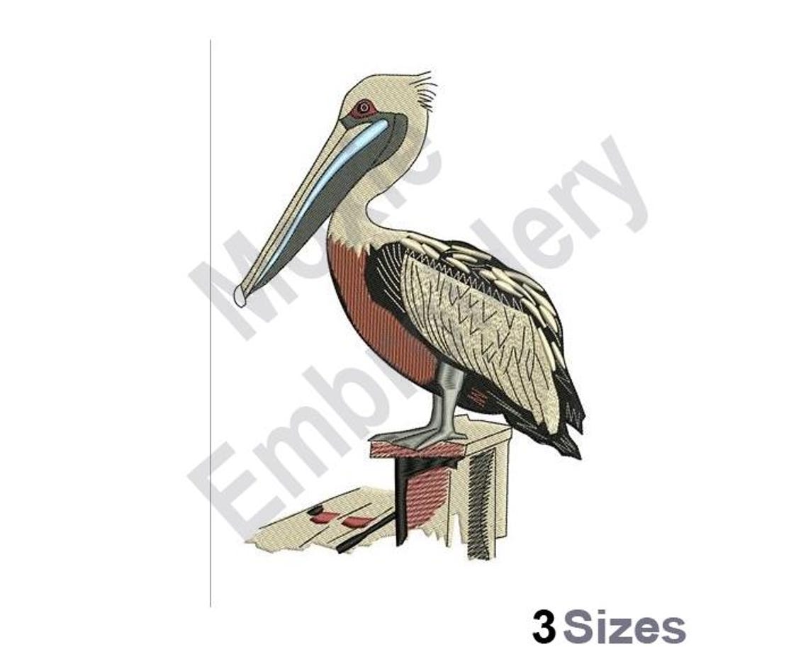 Brown Pelican - Machine Embroidery Design - 3 Sizes, Pelican Standing ...