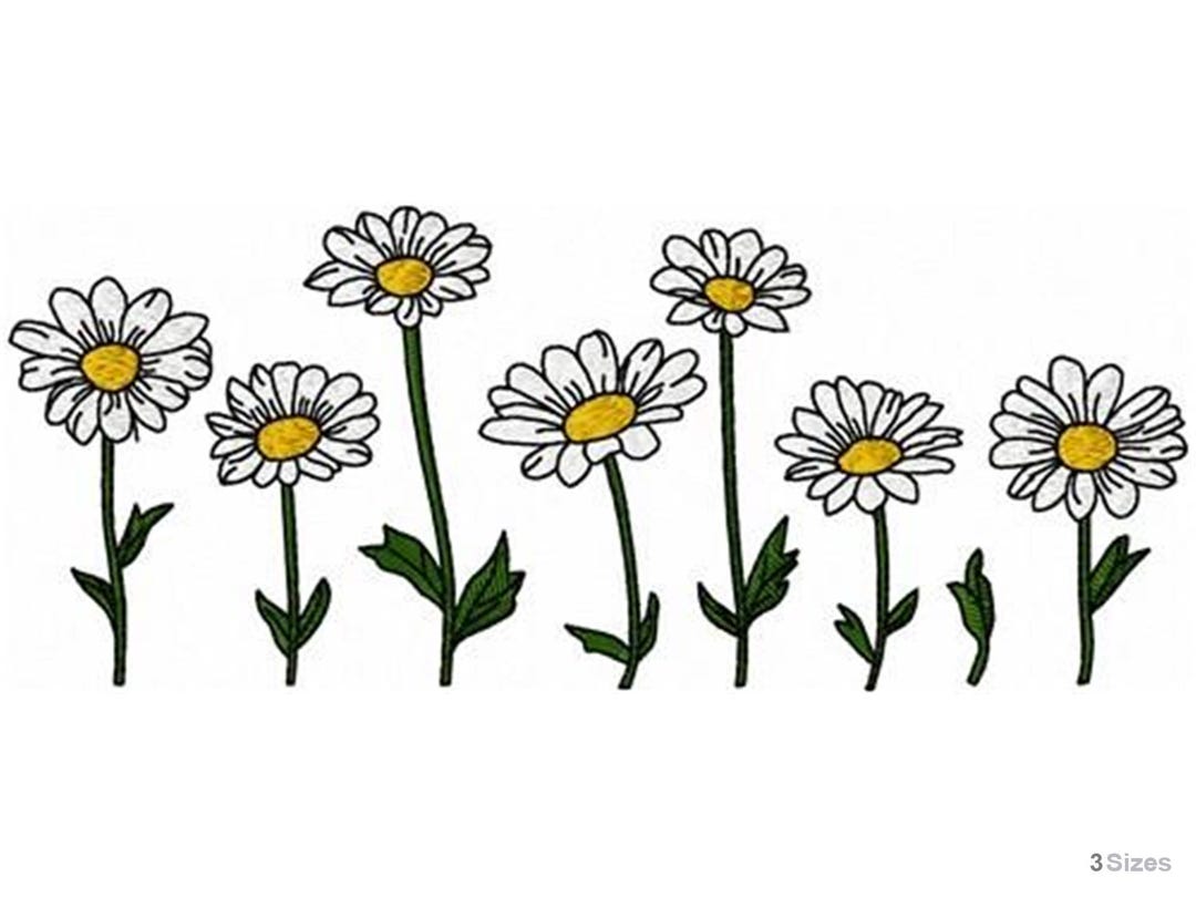 Daisy Border - Machine Embroidery Design - 3 Sizes, Daisies Embroidery ...