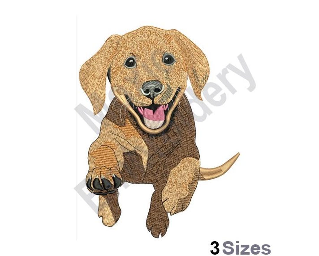 Labrador Retriever Puppy - Machine Embroidery Design - 3 Sizes ...
