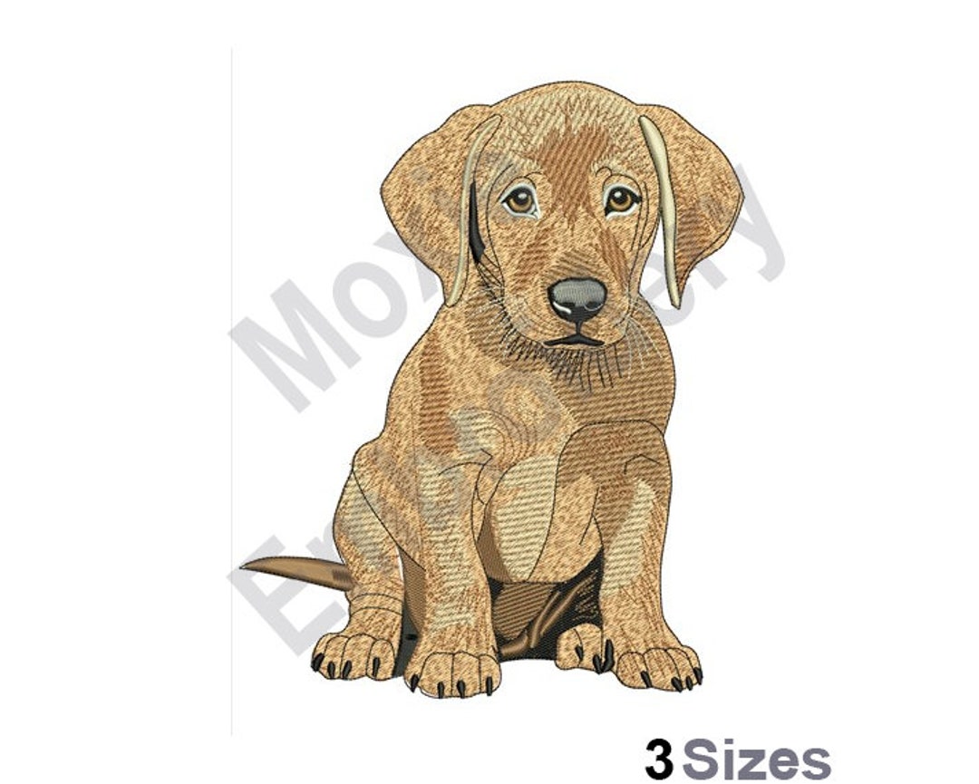 Labrador Puppy - Machine Embroidery Design - 3 Sizes, Labrador ...