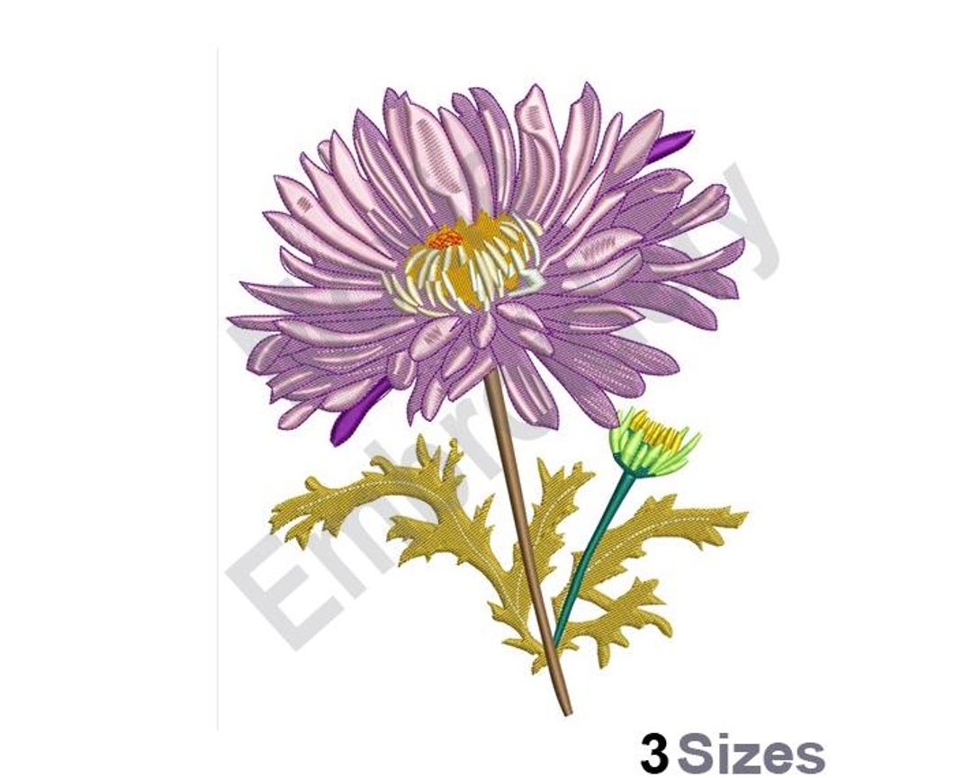Aster Flower - Machine Embroidery Design - 3 Sizes, Michaelmas Daisy ...