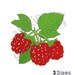 Raspberries With Leaves Machine Embroidery Design 3 Sizes, Red ...