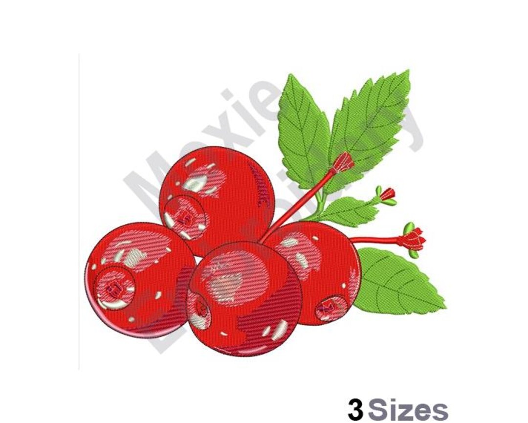 Cranberries With Leaves - Machine Embroidery Design - 3 Sizes ...