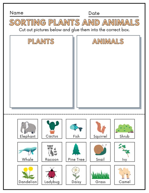 Worksheet Sorting Plants and Animals Printable | Etsy