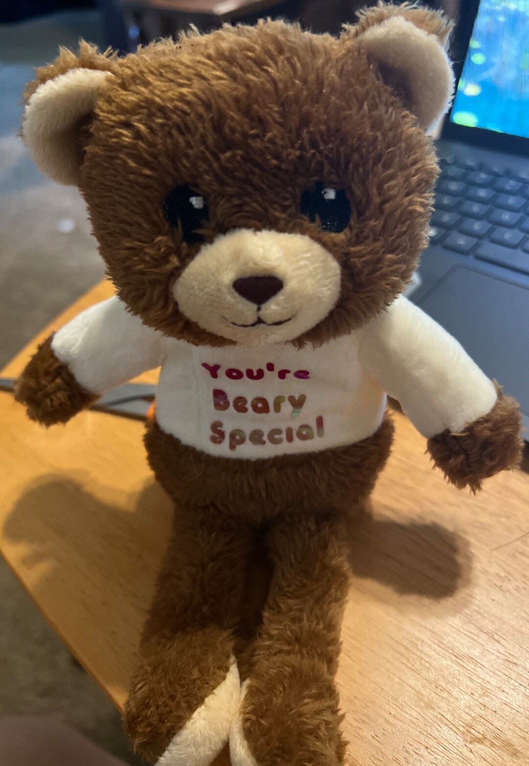 Customizable Teddy Bear. - Etsy