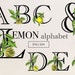 Lemon Alphabet Citrus Letters Yellow Lemon Lime ABC Digital Graphic Set ...