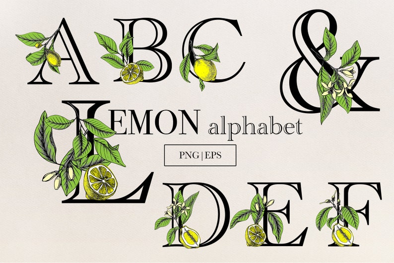 Lemon Alphabet Citrus Letters Yellow Lemon Lime ABC Digital - Etsy