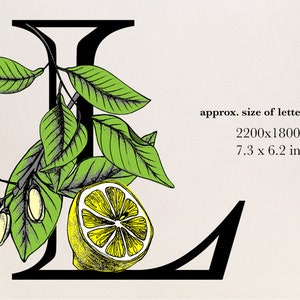 Lemon Alphabet Citrus Letters Yellow Lemon Lime ABC Digital Graphic Set ...