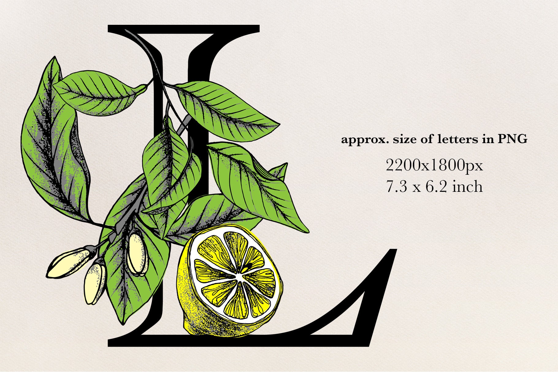 Lemon Alphabet Citrus Letters Yellow Lemon Lime ABC Digital Graphic Set ...