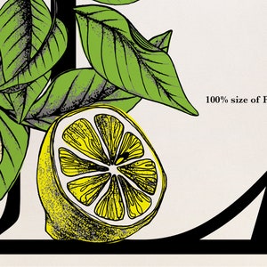 Lemon Alphabet Citrus Letters Yellow Lemon Lime ABC Digital Graphic Set ...