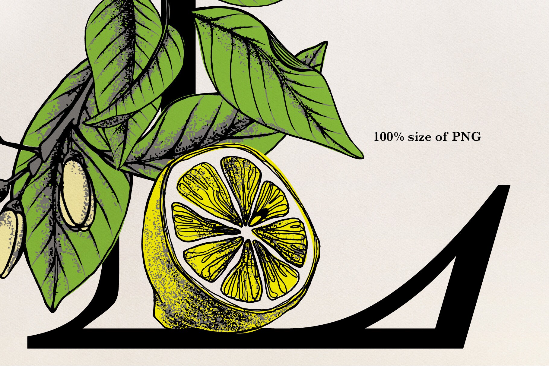 Lemon Alphabet Citrus Letters Yellow Lemon Lime ABC Digital Graphic Set ...