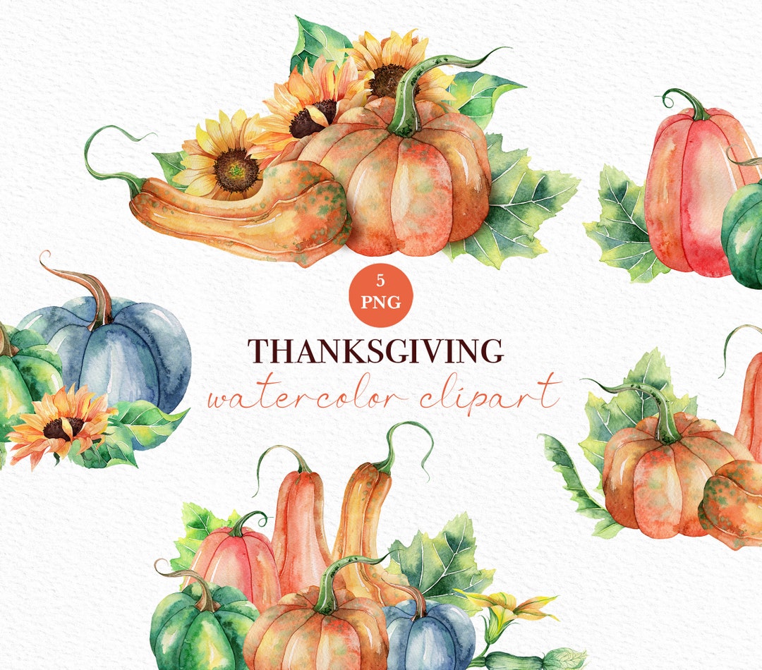 Watercolor Pumpkin Clipart Bundle, Thanksgiving Flowers (PNG) - Etsy