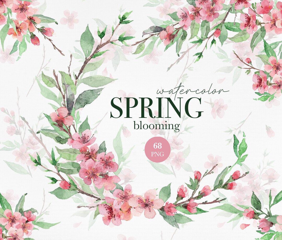 Spring Blooming Watercolor Floral Clipart, Floral Arrangements, Cherry ...