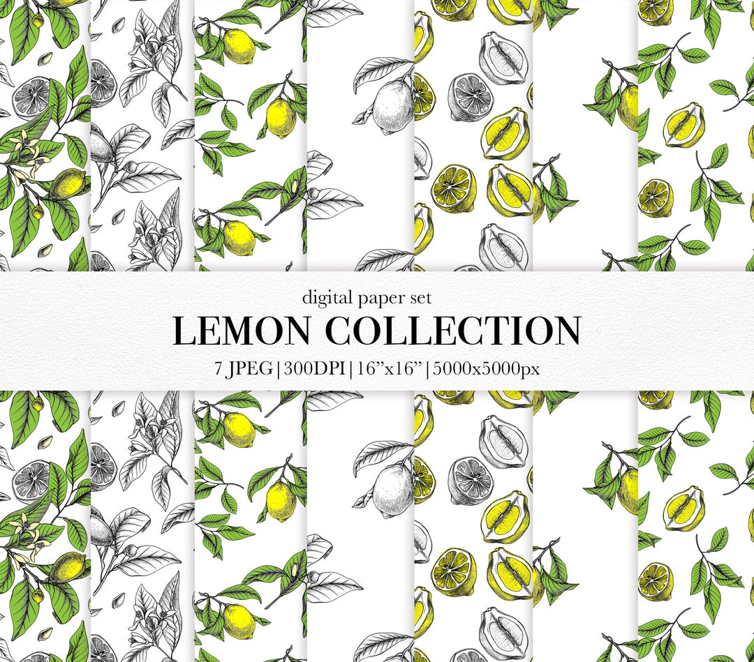 Lemon Botanical Paper Pack - Seamless Citrus Patterns - Digital Paper ...