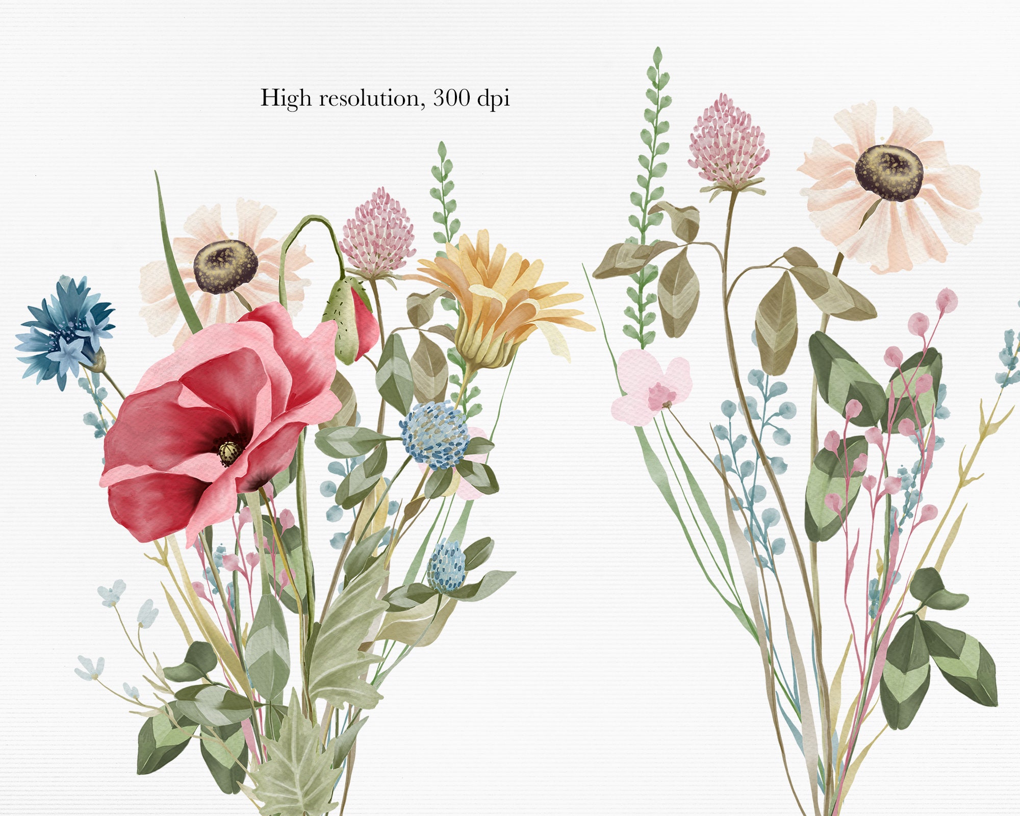 Meadow Watercolor Wild Flowers Clipart Ready-made - Etsy