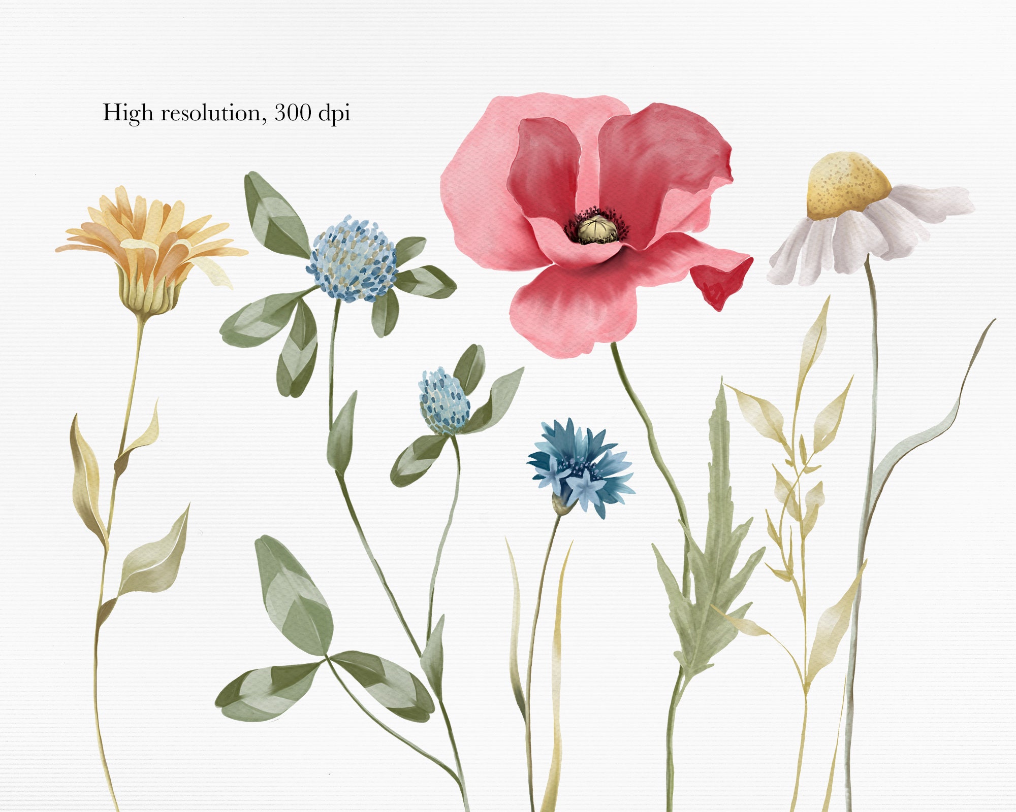 Meadow Watercolor Wild Flowers Clipart Ready-made - Etsy