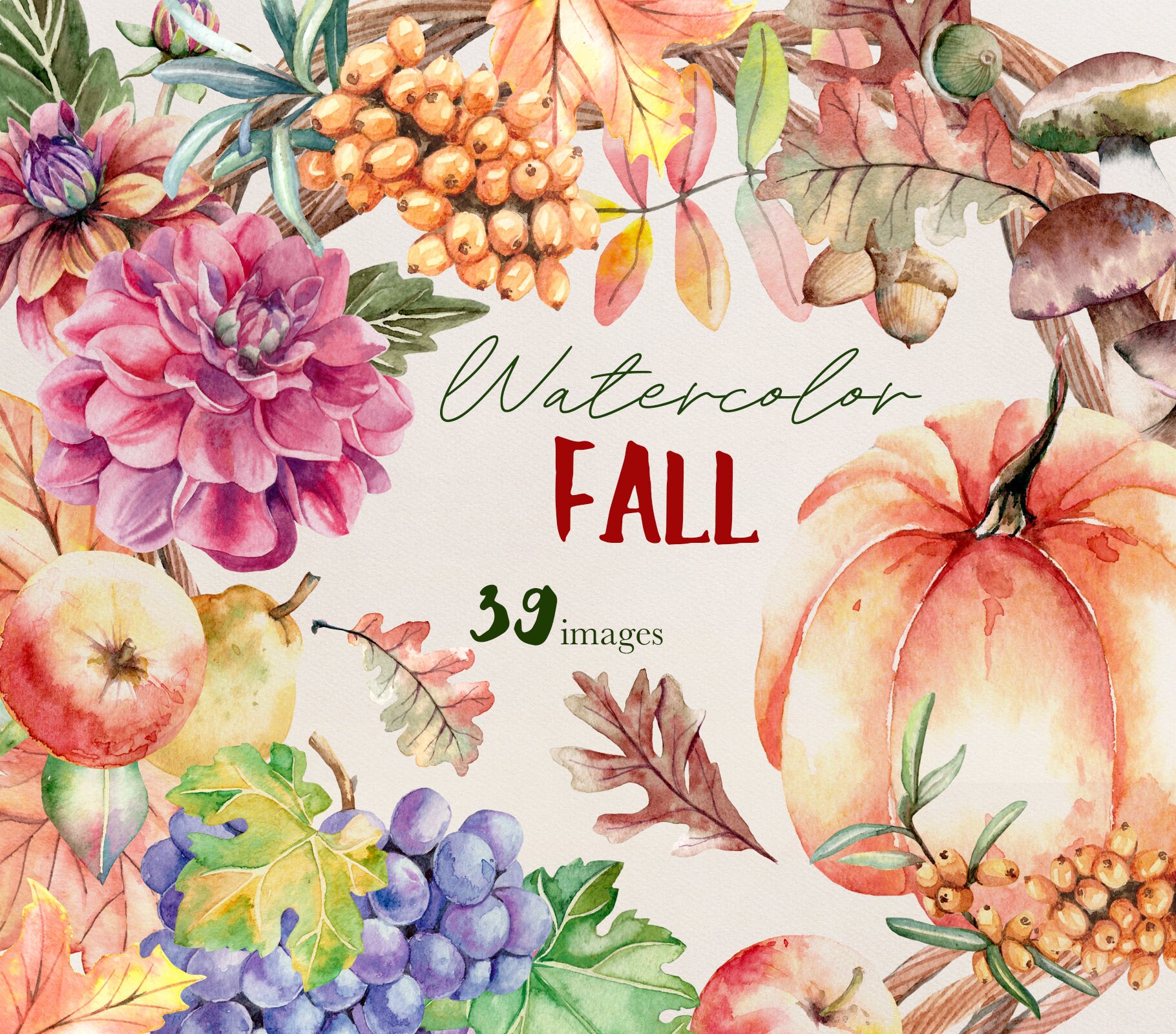 Autumn Watercolor Clipart, Watercolor Fall Clip Art, Flowers Vegetables ...