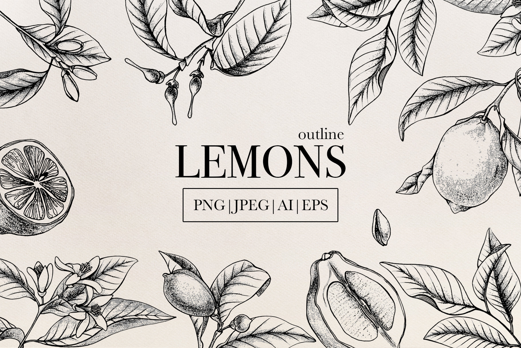 Lemon Outline Clipart Citrus Digital Line Art Lemonade Vintage ...