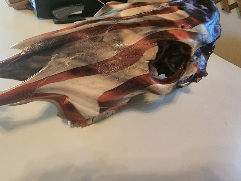 Steer- American Flag Hydro-dipped - Etsy