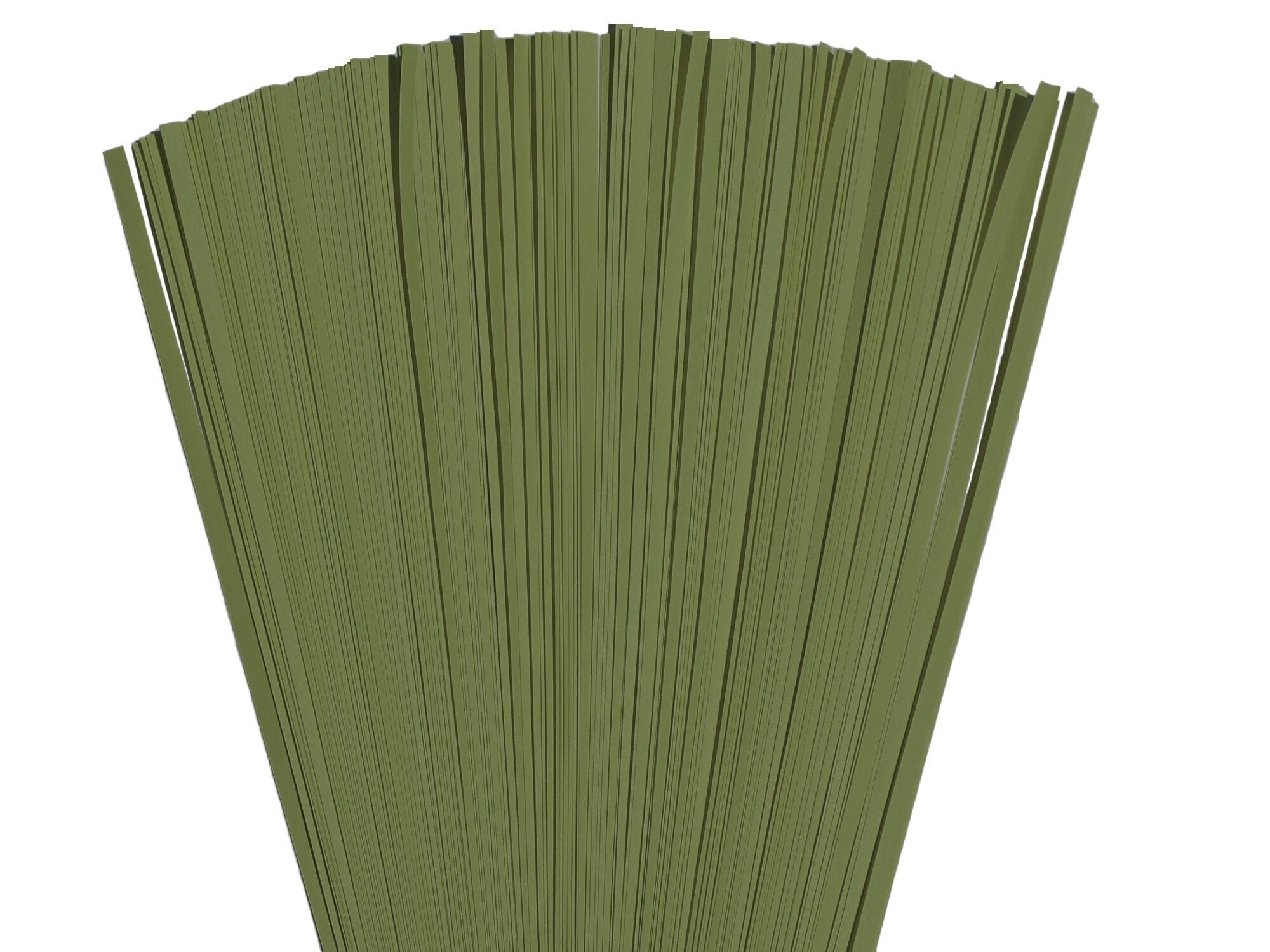Olive Green: Green Quilling Paper/cardstock Strips 1.5/3/5/10mm X 280mm ...