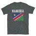 Namibia Flag Distressed - Namibian Flag T-shirt - Etsy