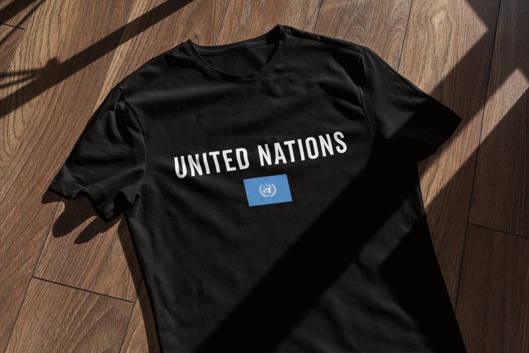 United Nations Flag T-shirt - Etsy