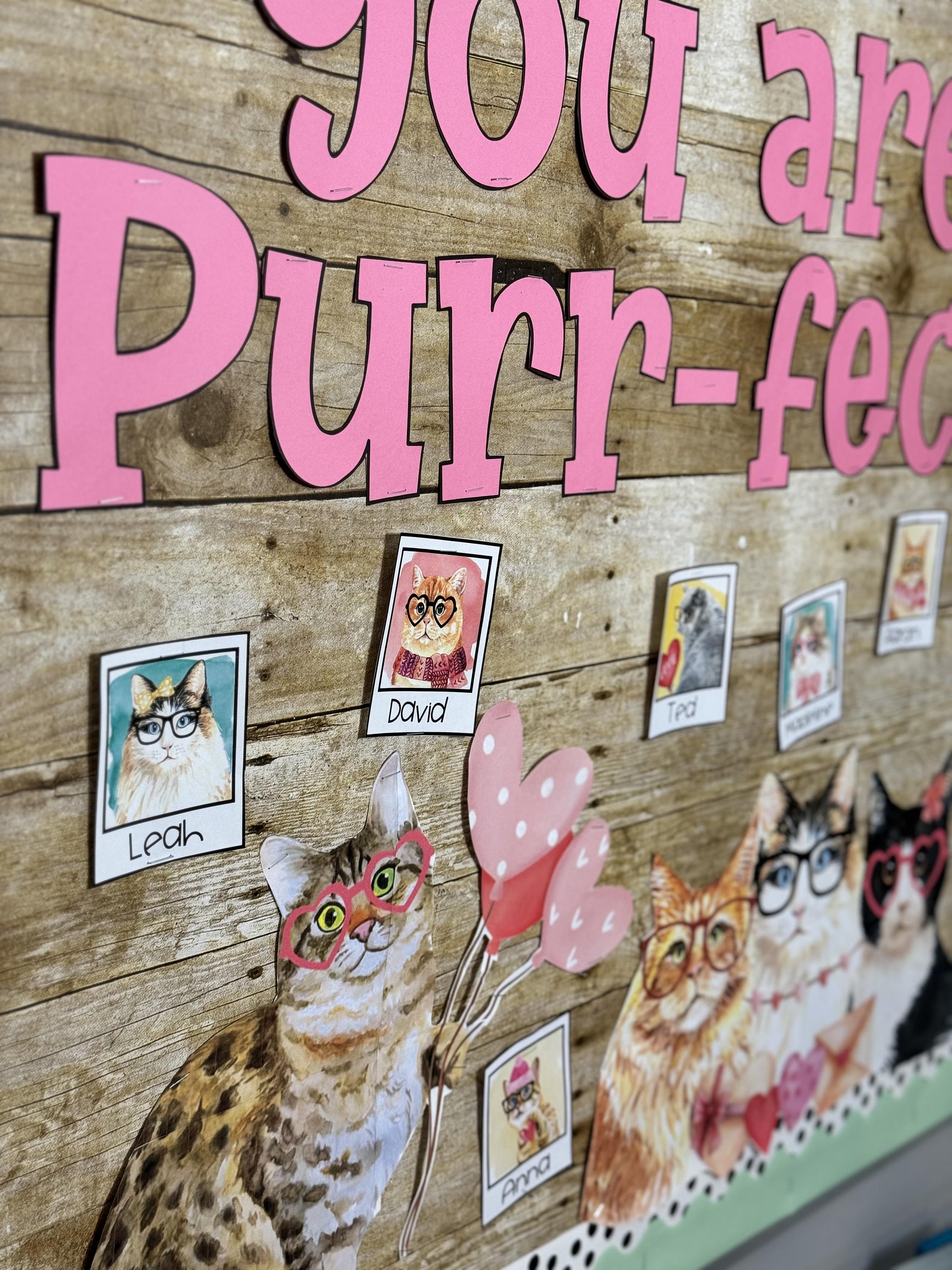 Valentine's Day Bulletin Board - Hipster Cat - Etsy