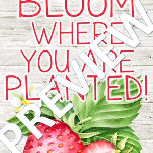 Strawberry Motivational Posters - Strawberry Classroom Decor ...