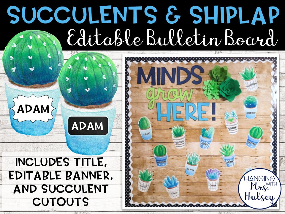 Succulent Welcome Back to School Bulletin Board - Etsy
